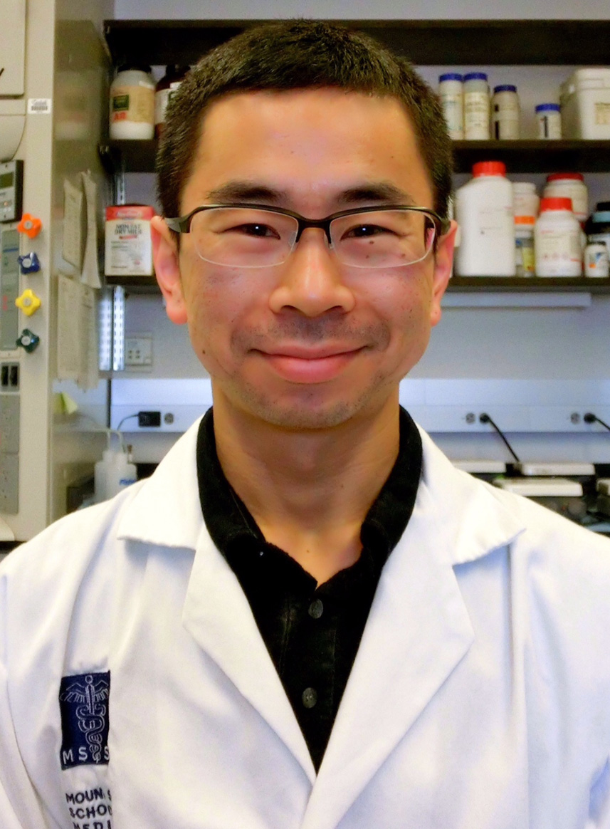 People – Dynamics of Living Systems Group